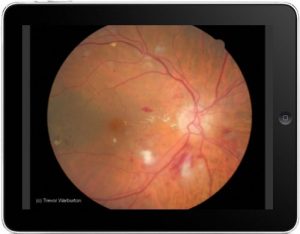 Vision Toolbox - Thomson Software Solutions